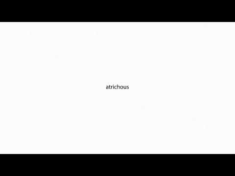 atrichous PRONUNCIATION