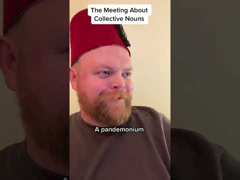 The Ritzy Meeting About Collective Nouns #Animals #CollectiveNouns #EnglishLesson #Comedy #Funny