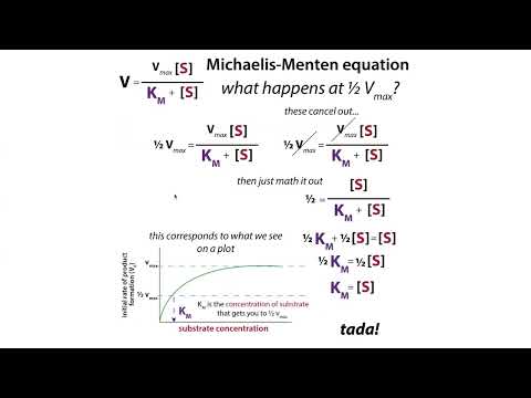 Enzyme kinetics fundamentals & terms: Km, kcat, specificity constant/catalytic efficiency, activity