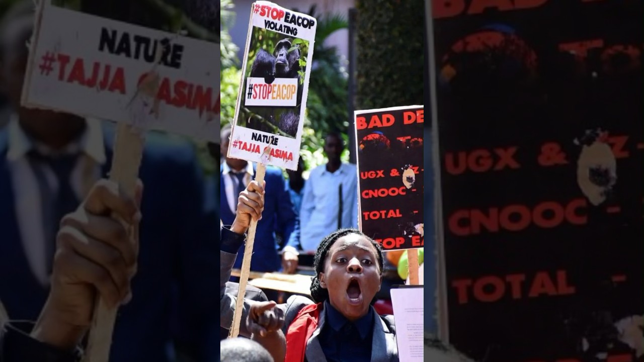 Climate Activists ARRESTED Protesting 900-Mile African Oil Pipeline (EACOP)