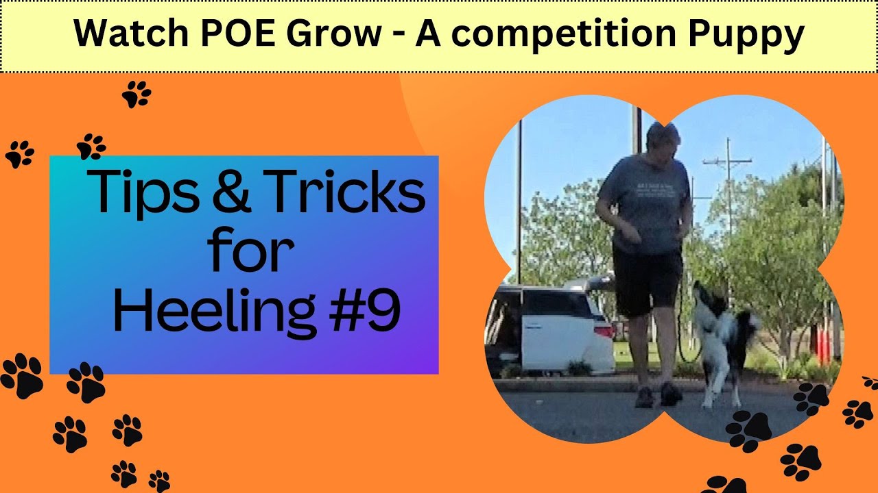 Heeling Tips & Tricks #9 Heeling progression – 1-16 steps ...