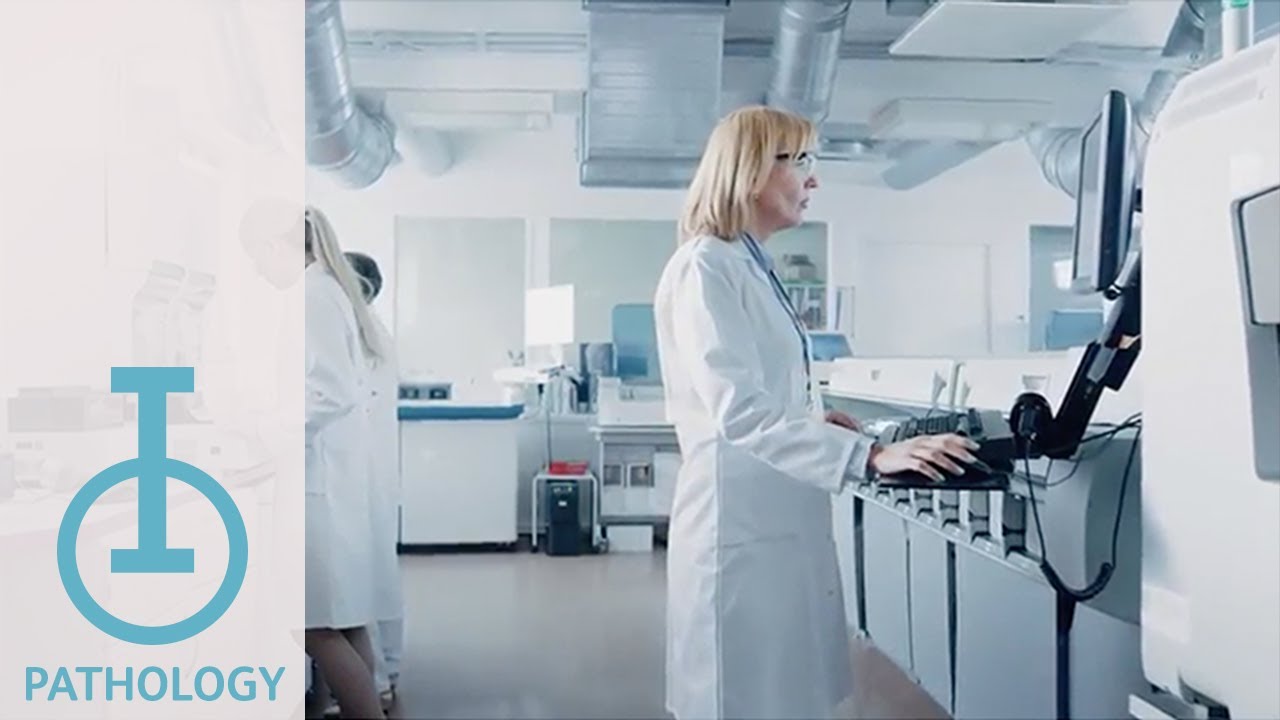 Pathologists and PD-L1