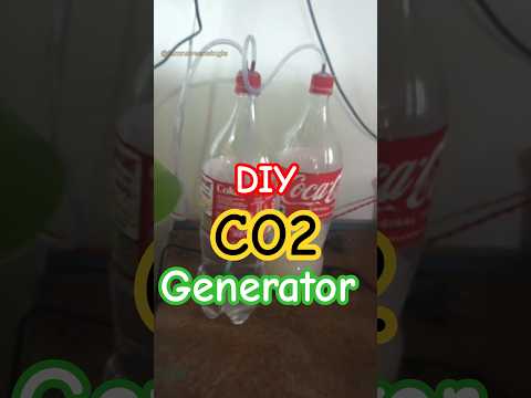 Very Easy DIY CO2 Generator