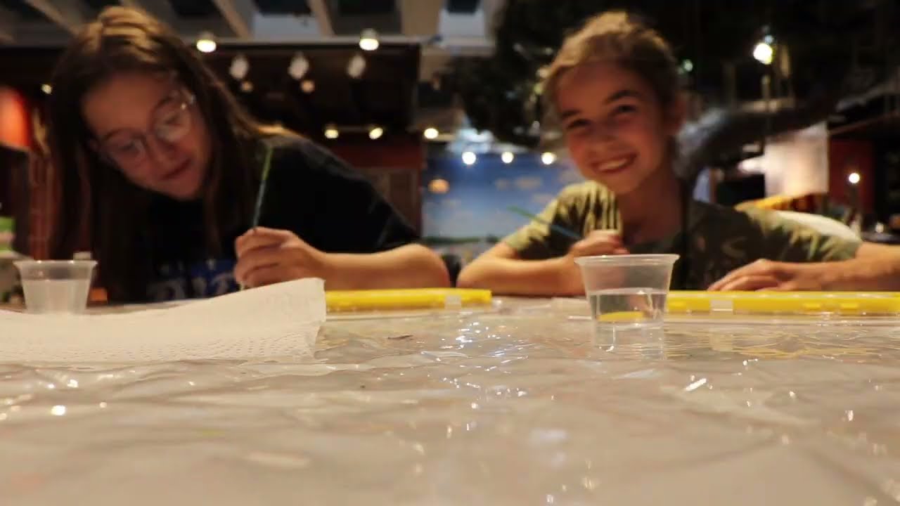 Scribes and Scribbles Camp 1: Summer Camp 2022