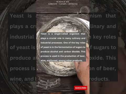 Yeast simplified