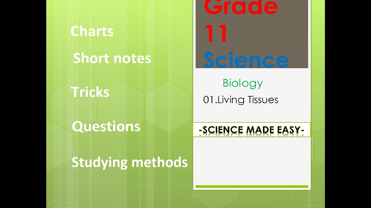 Understanding Living Tissues: A Comprehensive Overview for Grade 11 ...