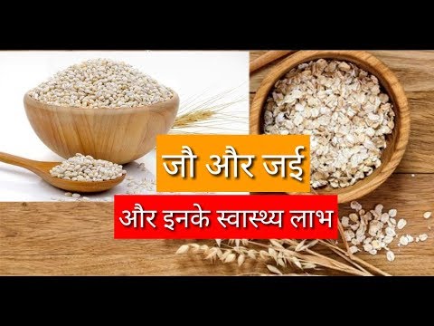 जौ और जई और इनके स्वास्थ्य लाभ | Difference between Barley & Oats | Health benefits of Barley & Oats