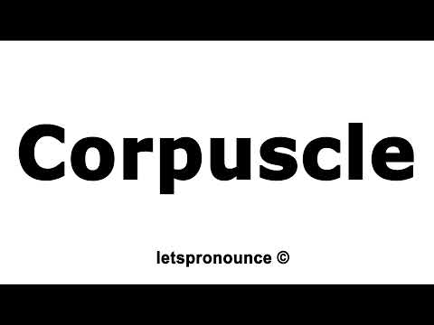 How to Pronounce Corpuscle