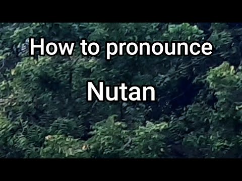 How to Pronounce Nutan