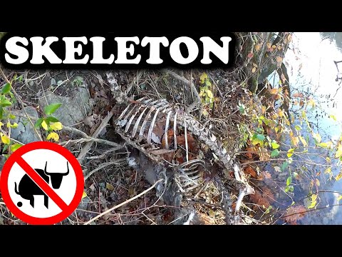 Fall Fishing & Dealing with Possible Poachers - Realistic Fishing