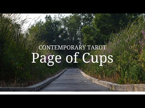 Page of Cups in 3 Minutes