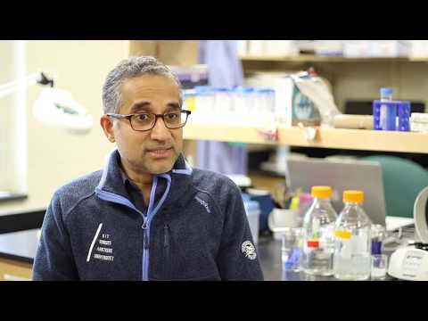 BIOLOGICAL RESILIENCE AND RESISTANCE