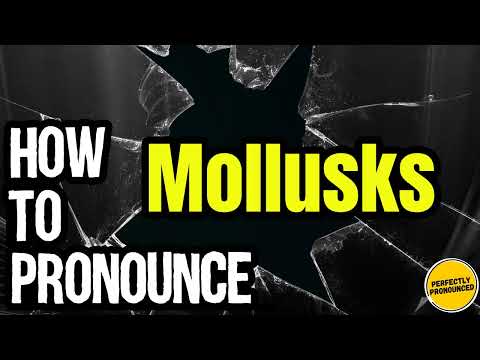 How To Pronounce Mollusks? (CORRECTLY) Meaning & Pronunciation