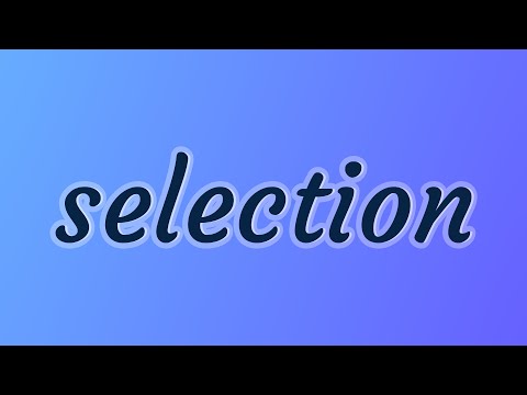 Selection - 144 English Vocabulary Flashcards
