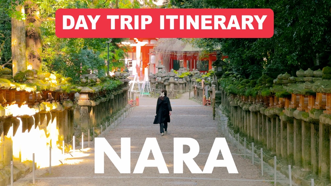 The Perfect Day Trip to Nara Park 🦌 One Day Itinerary