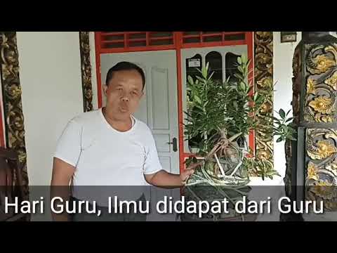 Hari Guru, Ilmu didapat dari Guru