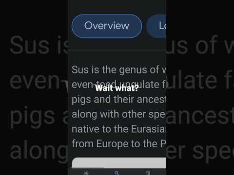 What is the meaning of sus?