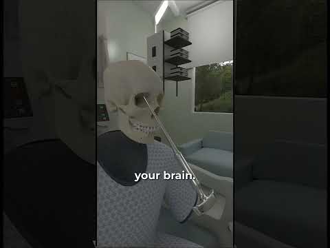 Lobotomy 😟 (explained)
