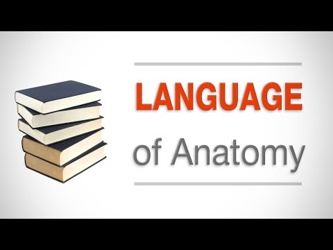 The Language of Anatomy
