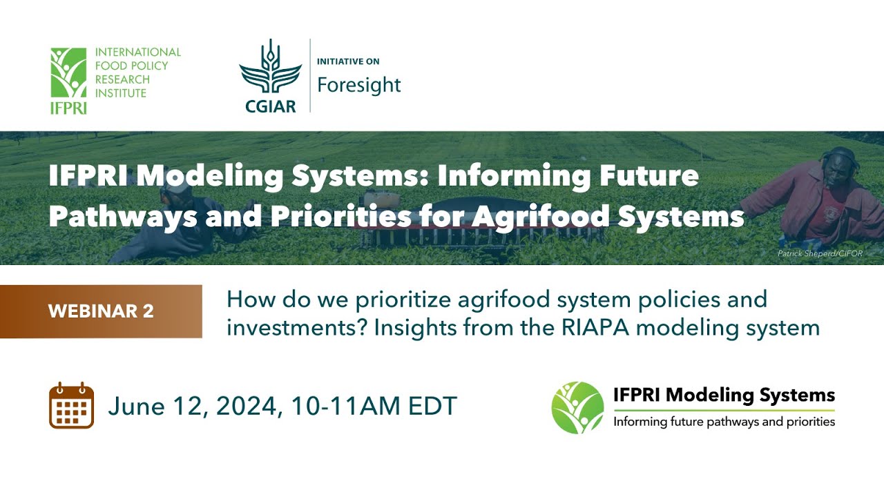 IFPRI Modeling Systems: Informing Future Pathways and Priorities for Agrifood Systems