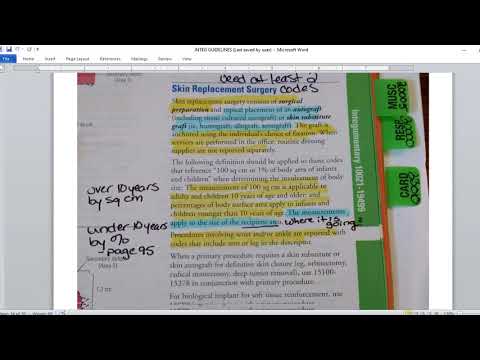 Integumentary CPT part 2