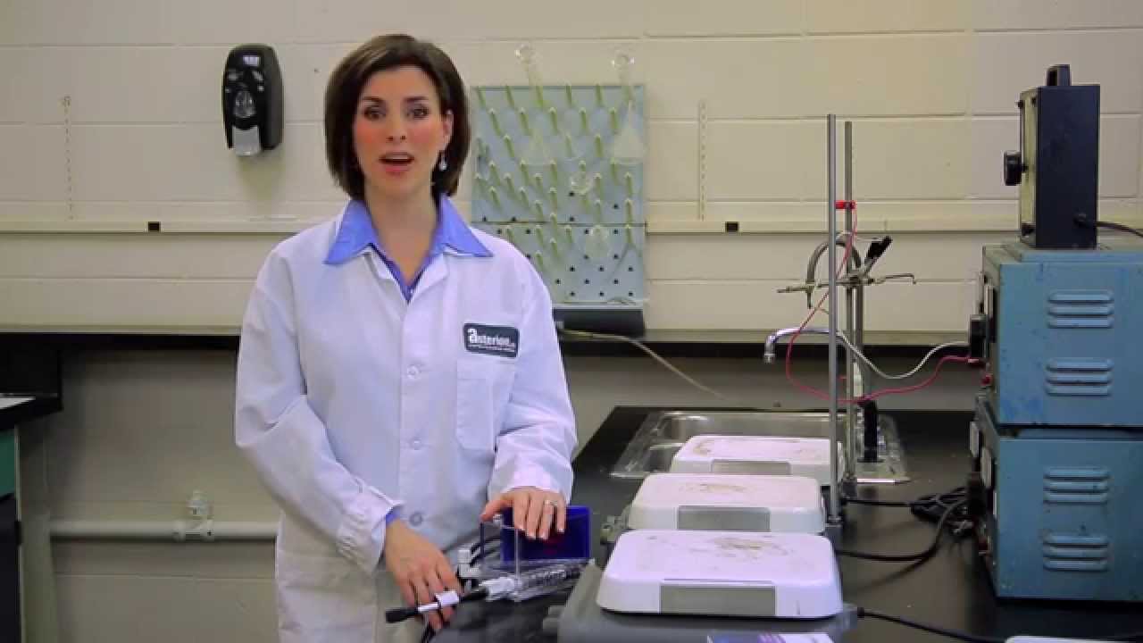 Understanding Hull Cell Panels: A Guide to Interpretation | Galaxy.ai