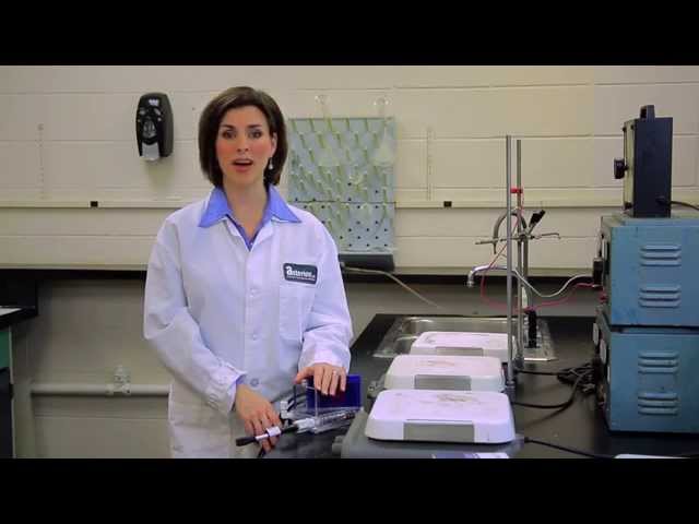 Understanding Hull Cell Panels: A Guide to Interpretation | Galaxy.ai