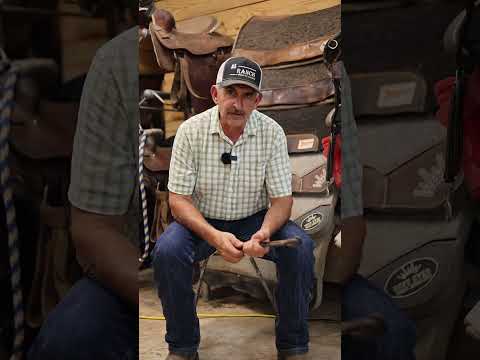 Farrier Advice