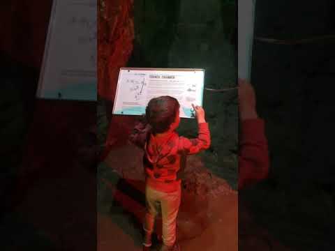 Self-Guided Cave Tour - Things To Do With Kids in Columbus Ohio