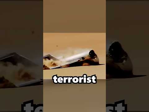 Why This Airplane CRASHED on PURPOSE?!