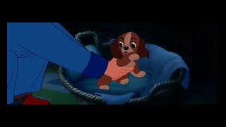Lady and the Tramp (1955) - Beginning  [UHD]