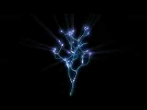 Tree of Life Introductory Video