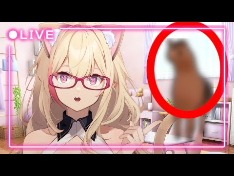 Kou Mariya - V4Mirai