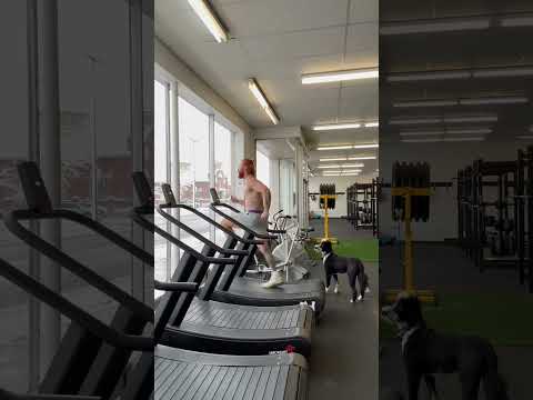 Treadmill Sprint | HansenAthletics Online