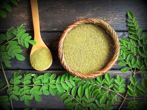Moringa Oleifera - The Amazing Benefits of Moringa Oleifera