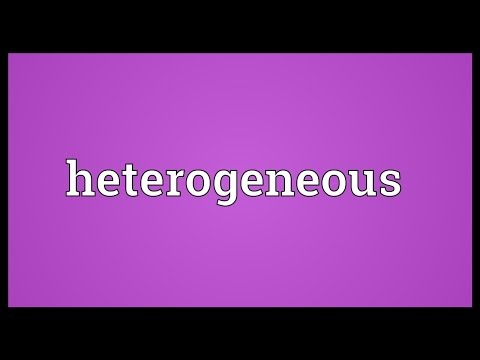 Heterogeneous Meaning