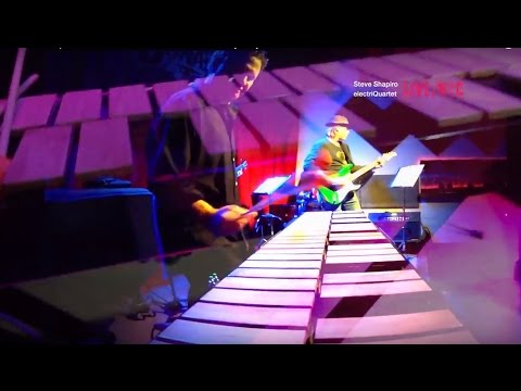 Wernick Xylosynth XS7-3BB-IS special iMuso