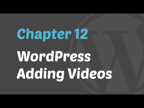 WordPress 101 - How to Add Videos in WordPress Posts?
