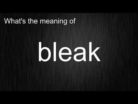 What's the meaning of "bleak", How to pronounce bleak?
