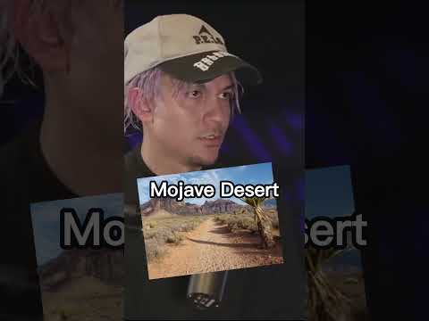 que significa mojabi ghost? #badbunny #tainy #reggaeton #badbunnypr #mojabighost #fyp