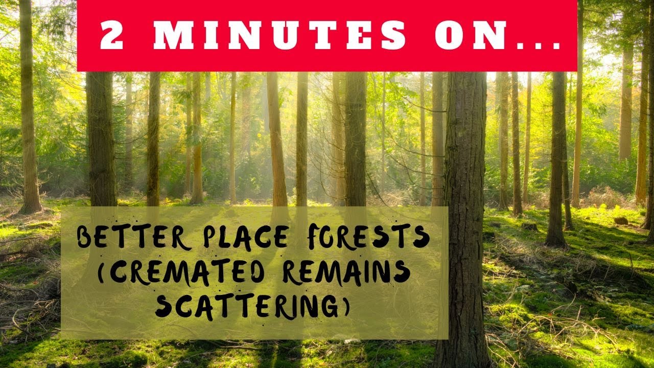 What is Better Place Forests for Cremated Remains? Just Give Me 2 Minutes