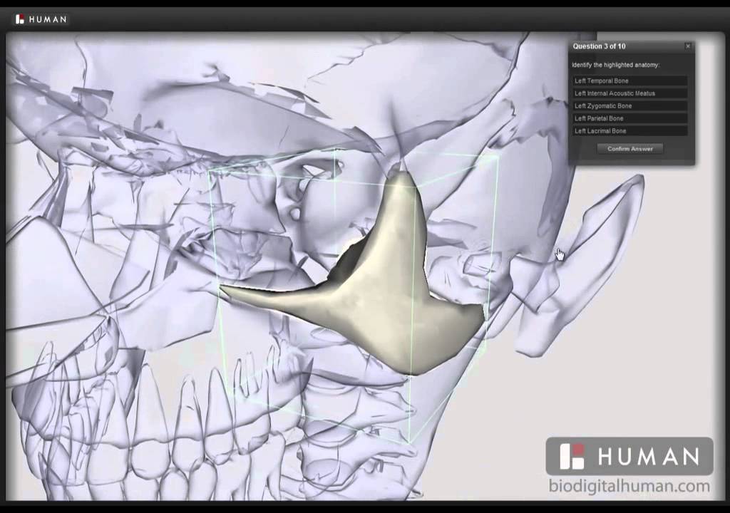 BioDigital Human 1.0: Explore the Body in 3D!