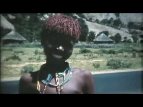a d i r ø n d a c k - in the t r e e s