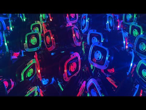 Silent Disco 2, Natural History Museum, London | 13 April 2024
