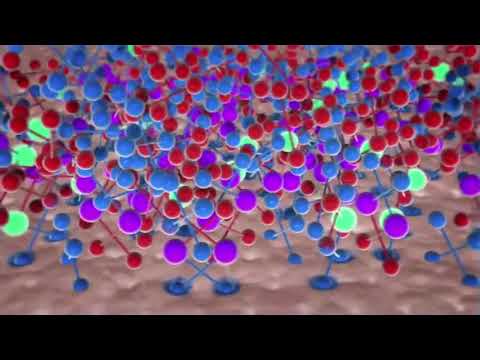 COSEAL - Baxter