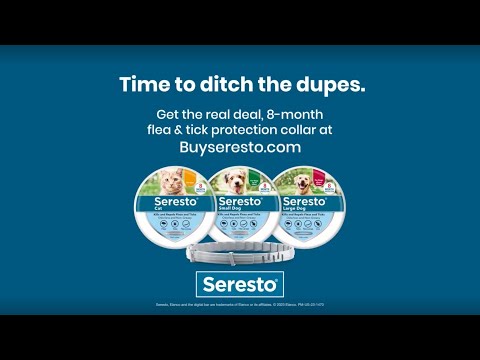 Seresto® Flea and Tick Collars for Dogs: 8 Continuous Months of Protection for Your Pet