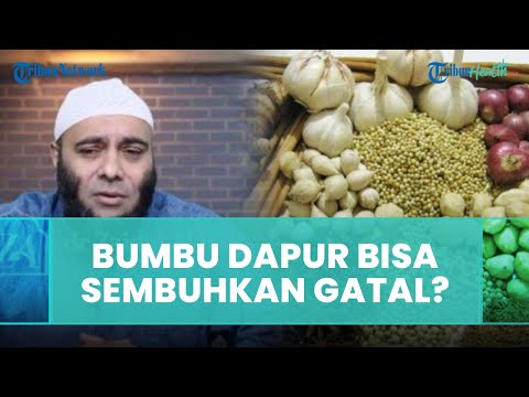 dr.Zaidul Akbar Bagikan Resep 3 Bumbu Dapur yang Ternyata Bisa Jadi Obat Kulit saat Gatal-gatal