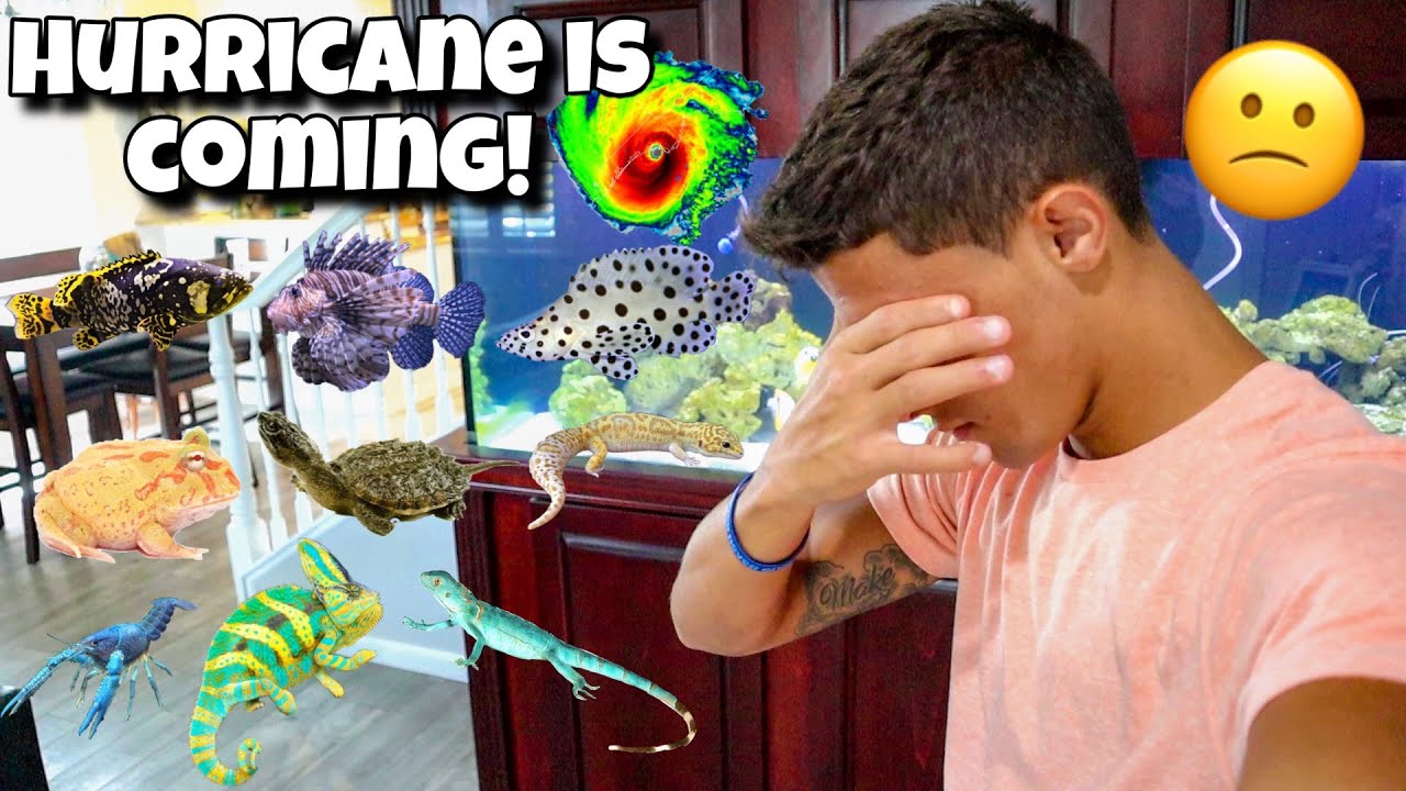 PREPARING For HURRICANE DORIAN!! *Saving My Animals*