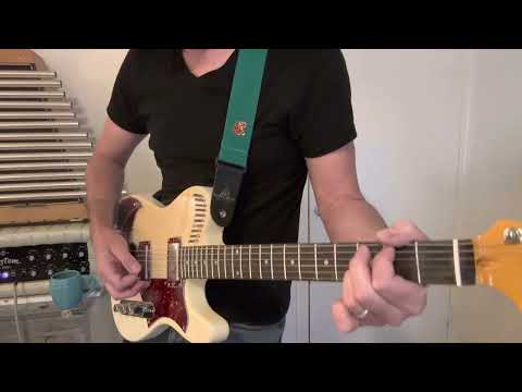 Electric sitar tele style with sympathetic strings | Reverb