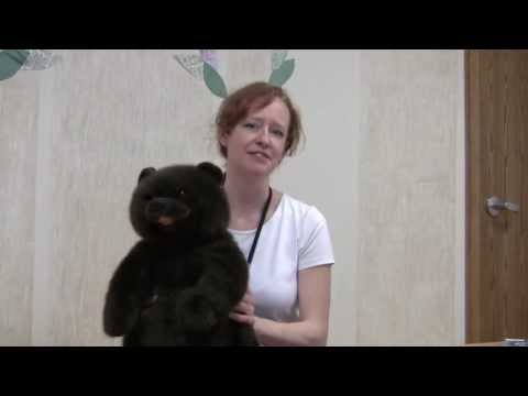 Bouncing Babies 5/23/2013